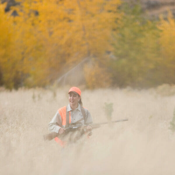Colorado Hunting Guides for Pheasant, Chukar, Turkey, Elk, Mule Deer